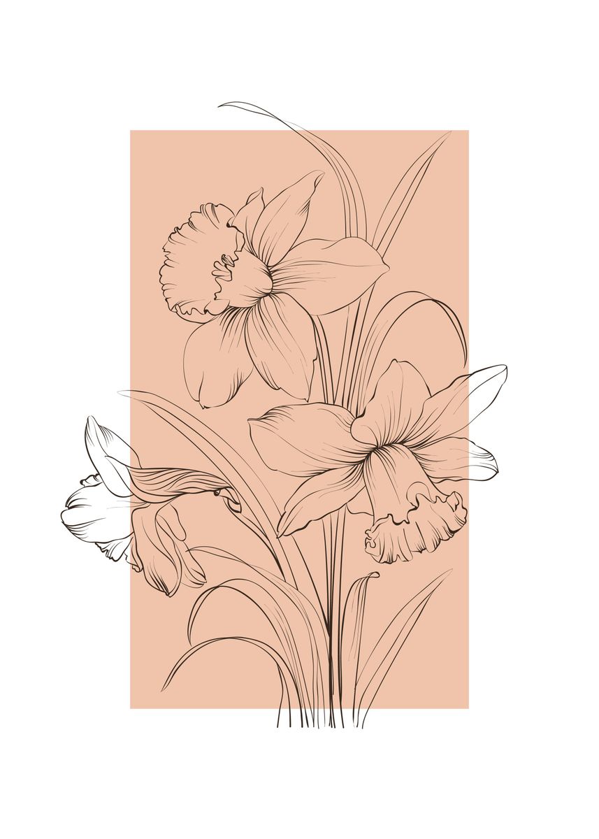 'Narcissus Flower Bouquet' Poster by dkDesign | Displate