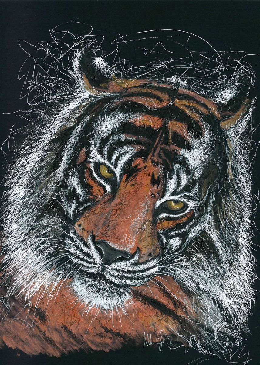 'tiger portrait in scribble' Poster, picture, metal print, paint by ...