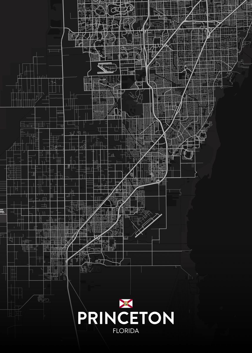 'Princeton FL' Poster, picture, metal print, paint by IMR Designs ...