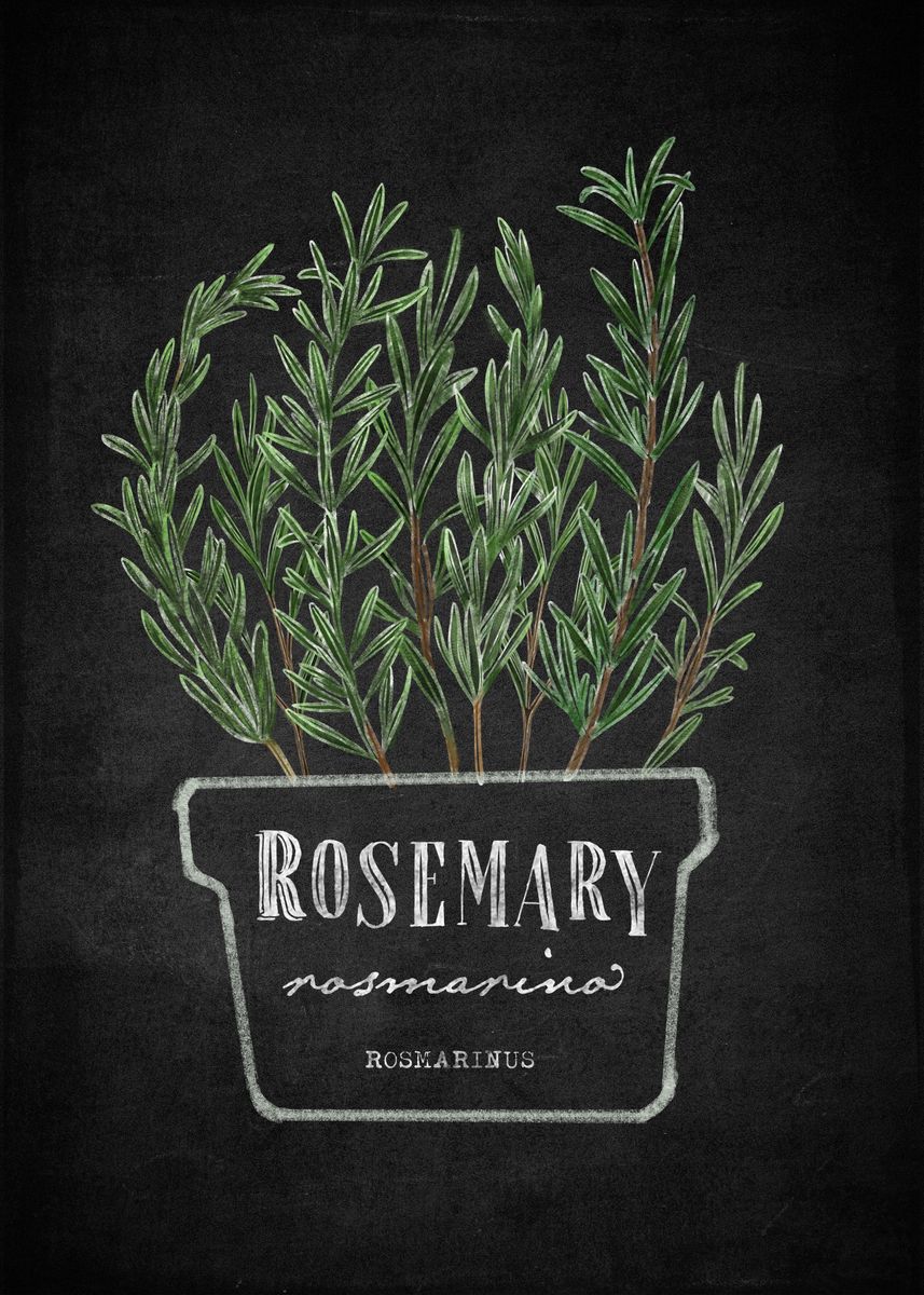 'Rosemary' Poster, picture, metal print, paint by Yak Yak | Displate
