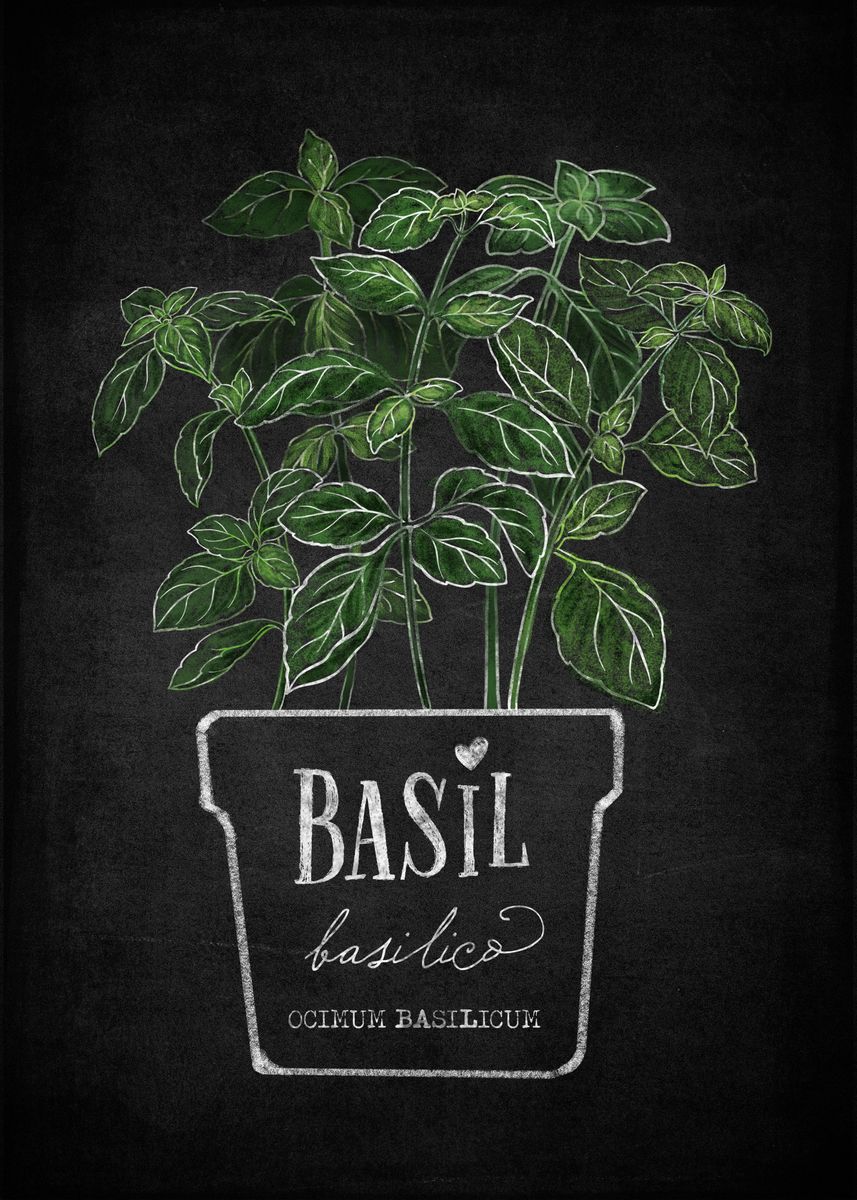 'Basil' Poster, picture, metal print, paint by Yak Yak | Displate