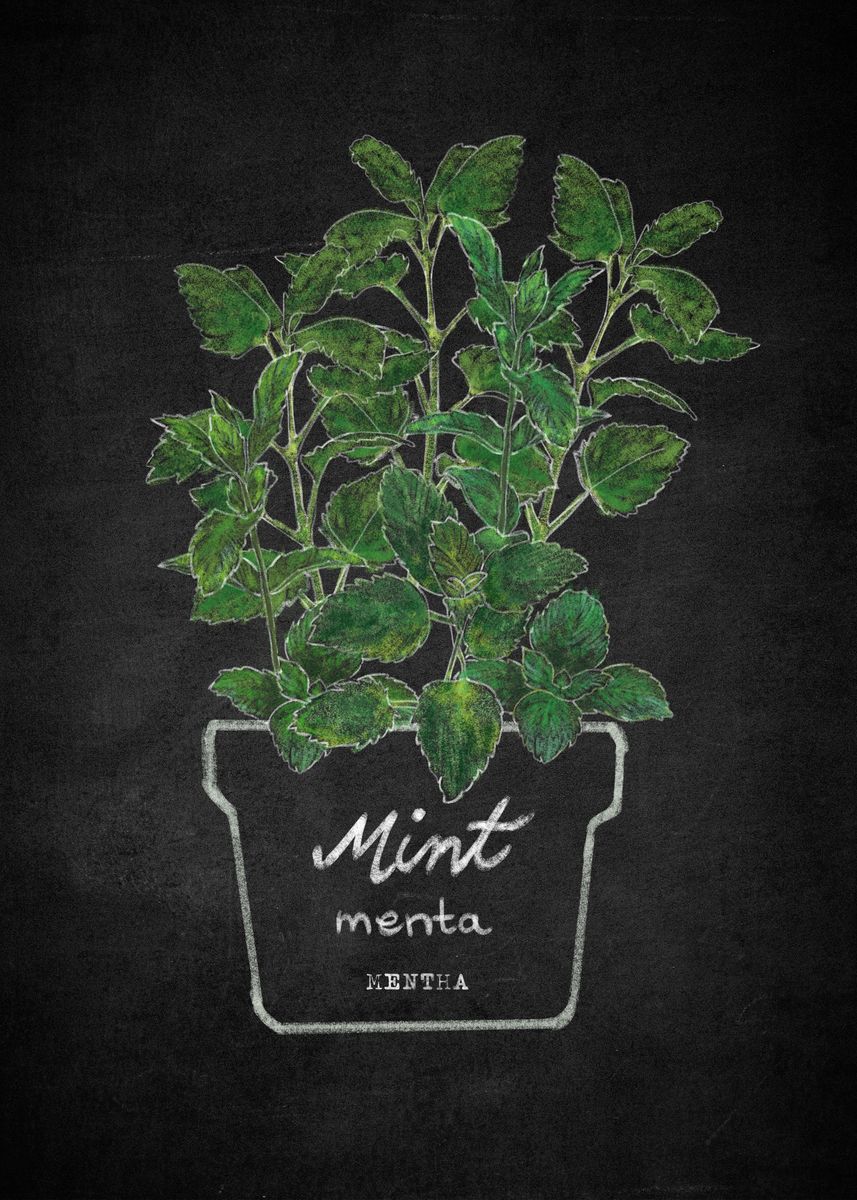 'Mint' Poster, picture, metal print, paint by Yak Yak | Displate