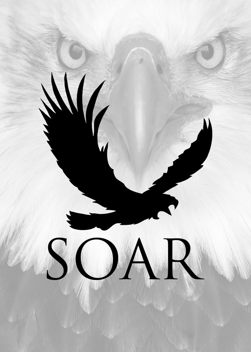 'Eagle Soar' Poster by ABConcepts | Displate