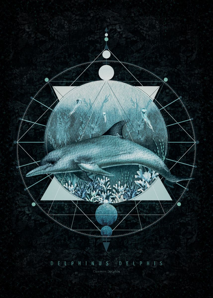 'Dolphin and Geometry' Poster, picture, metal print, paint by Kilo Byte ...