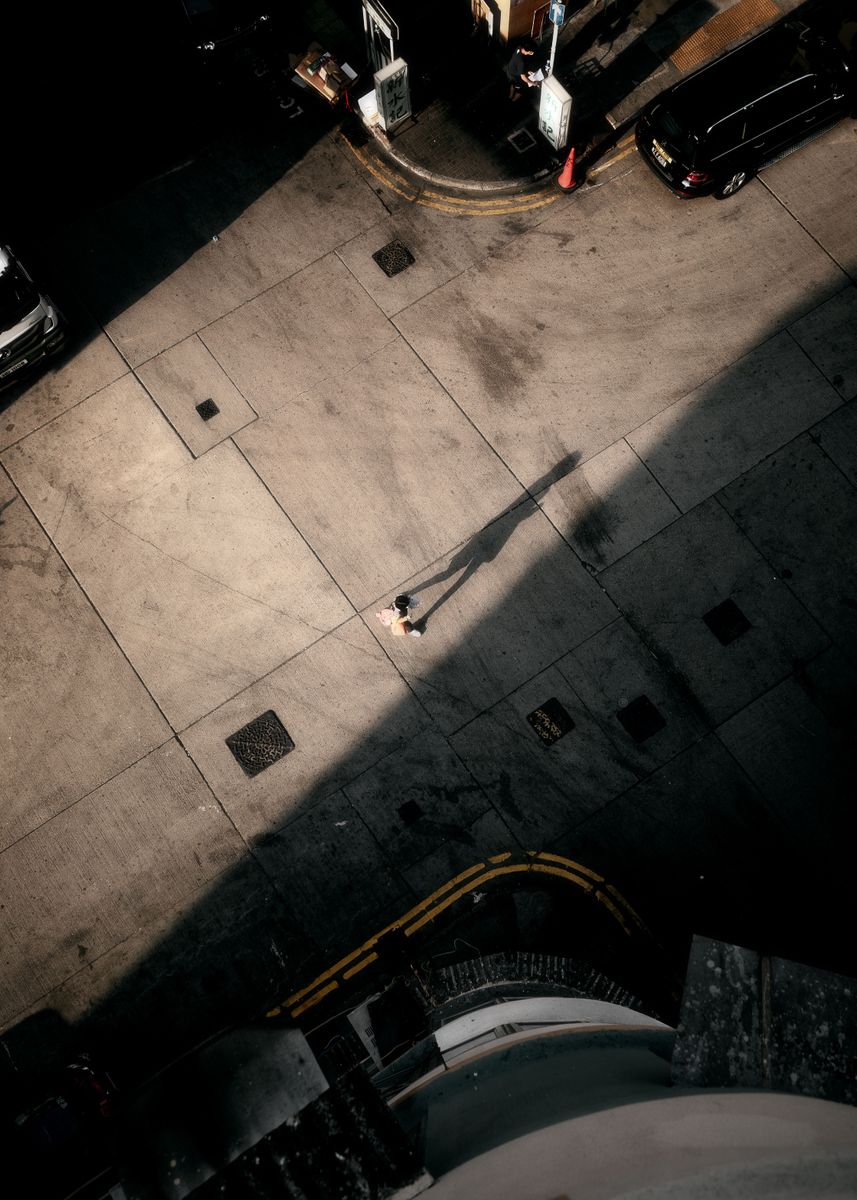 'The Shadow' Poster, picture, metal print, paint by Noel Illinger ...