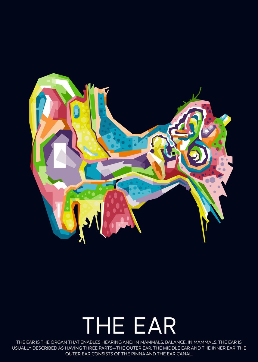 'The Ear' Poster, picture, metal print, paint by MK STUDIO | Displate