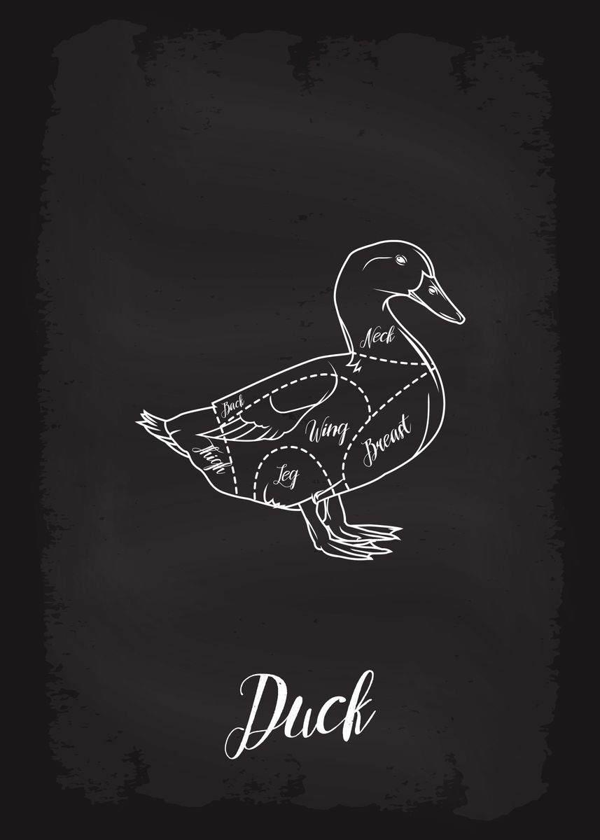 'Butcher Cuts of Duck' Poster, picture, metal print, paint by dkDesign ...