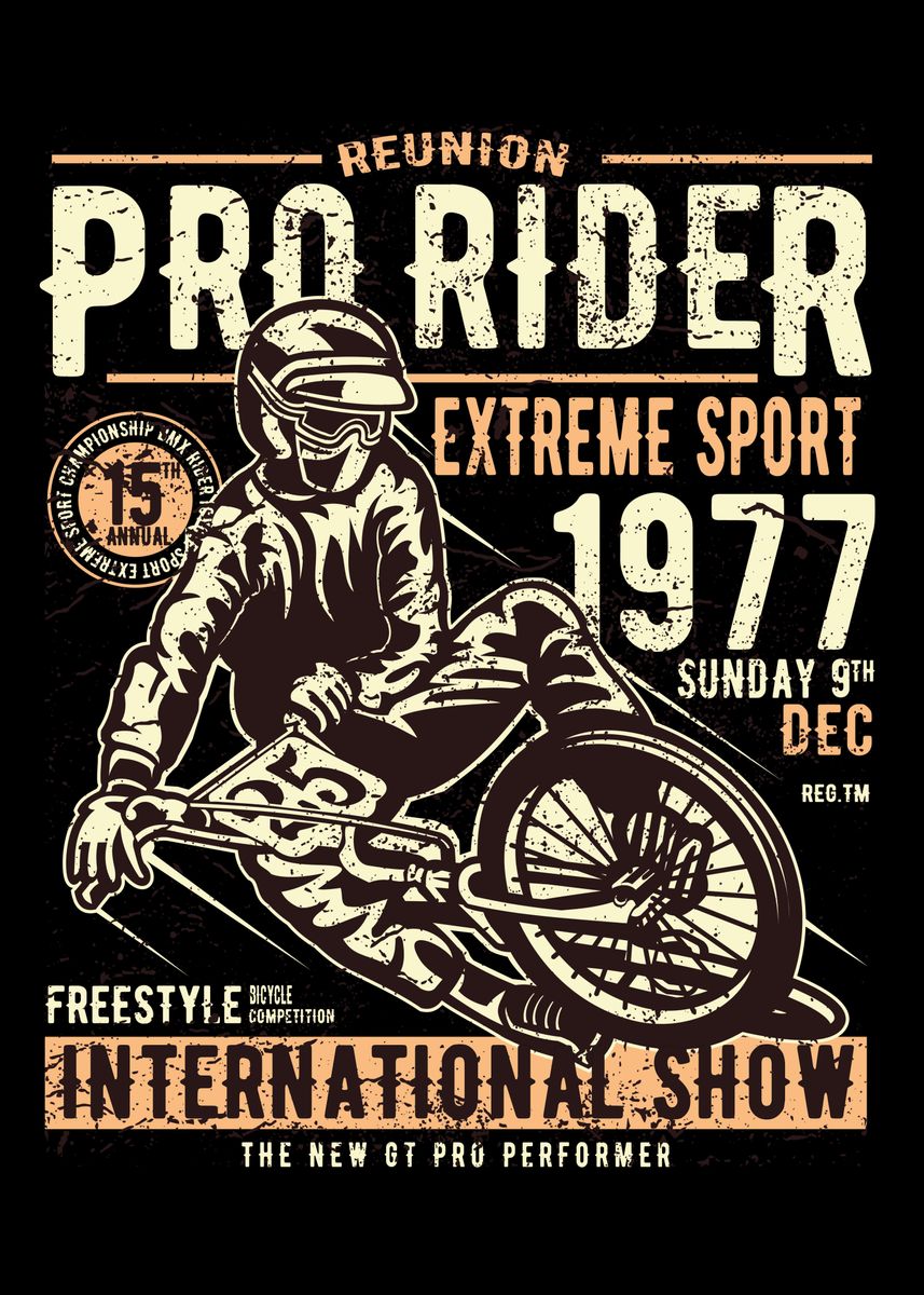 'Pro Rider' Poster, picture, metal print, paint by thetshirtshop2020 ...
