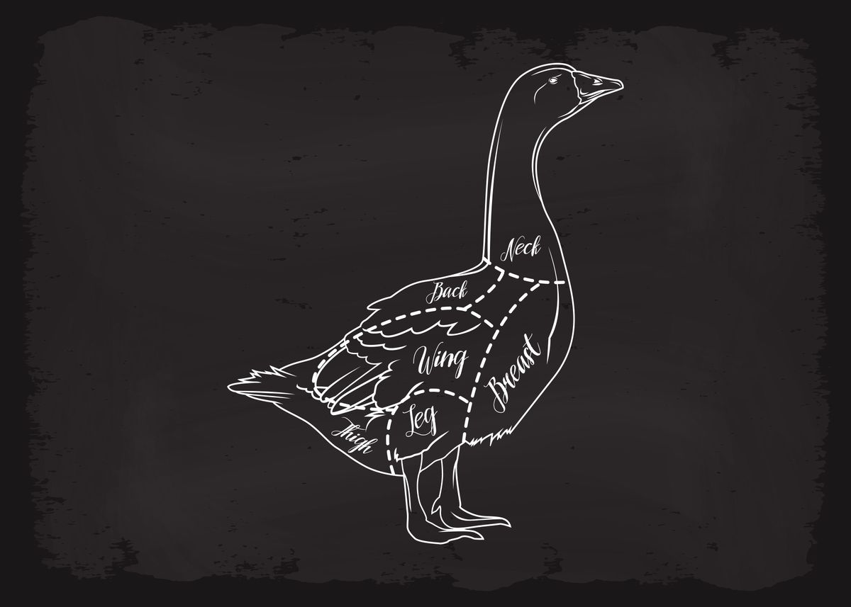 'Butcher Cuts of Goose' Poster by dkDesign | Displate