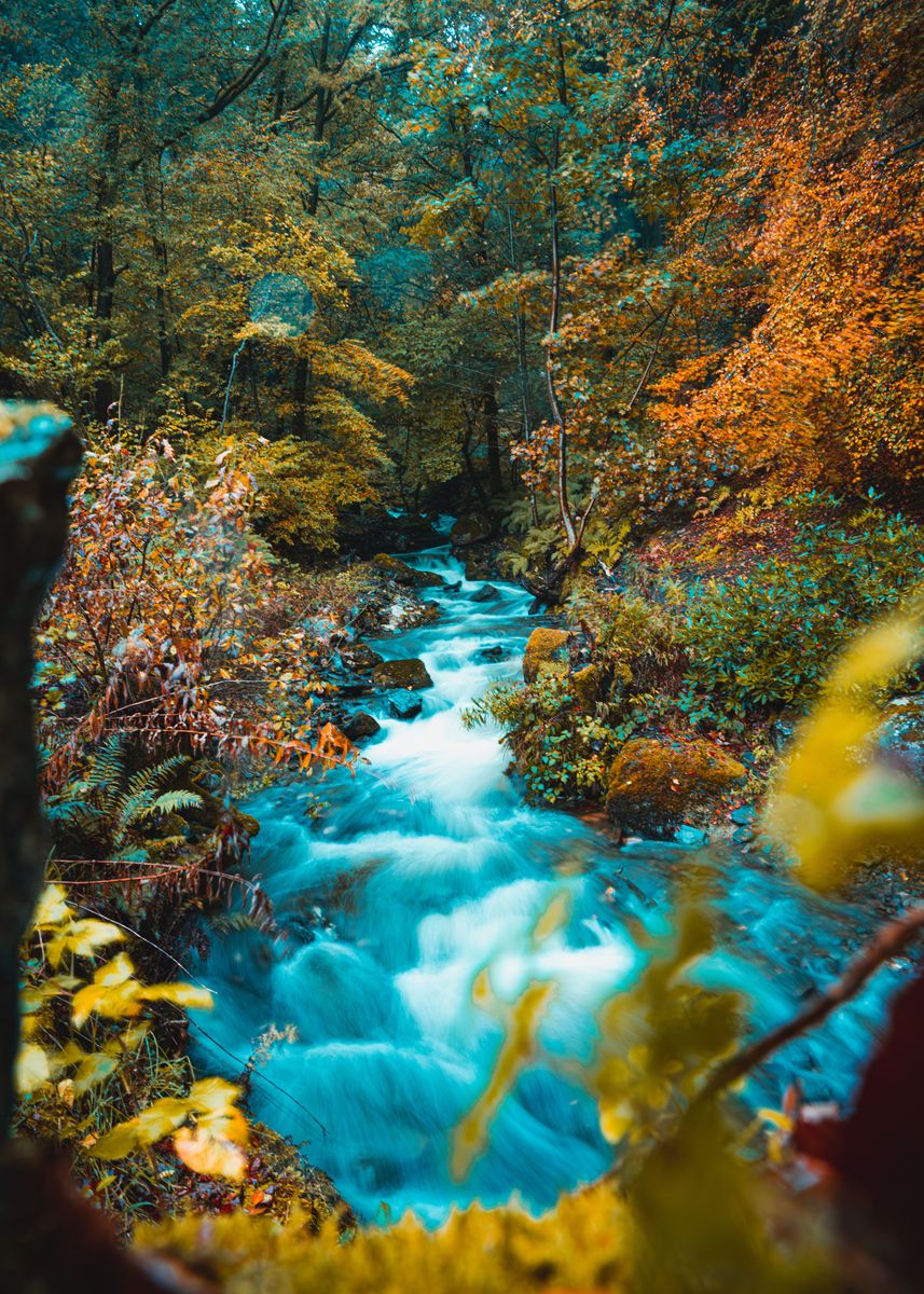 'Autumn stream' Poster by Michael Ogier | Displate