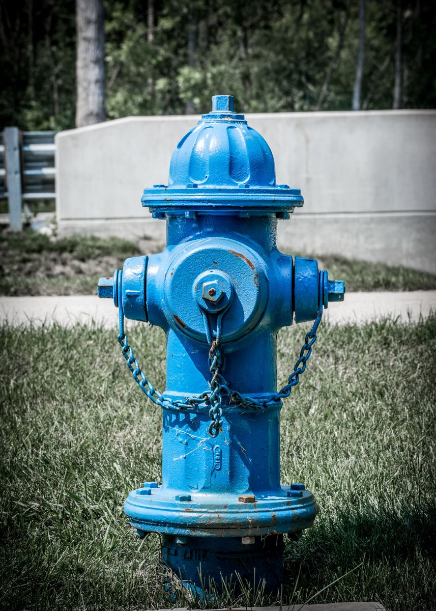 'Blue Centurion' Poster, picture, metal print, paint by Enzwell | Displate