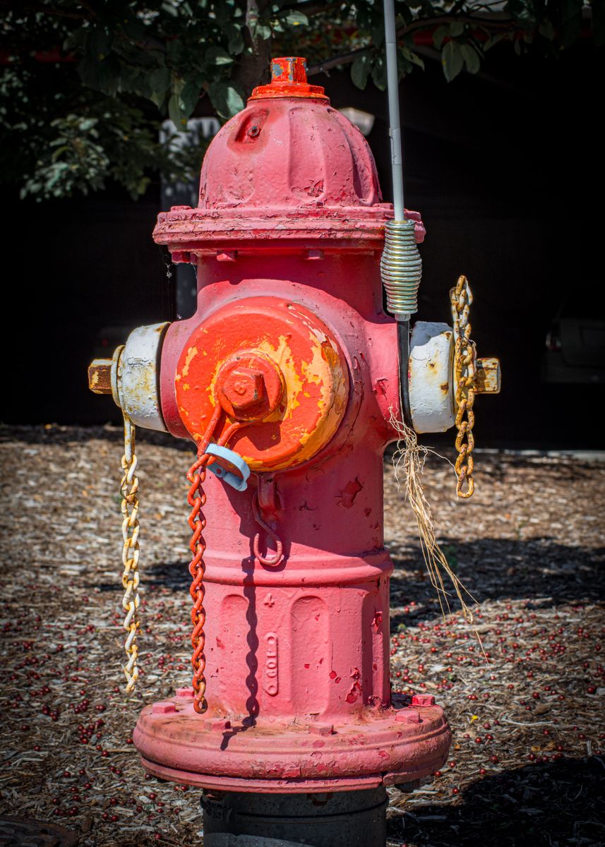 'Colorful Super Centurion' Poster, picture, metal print, paint by ...