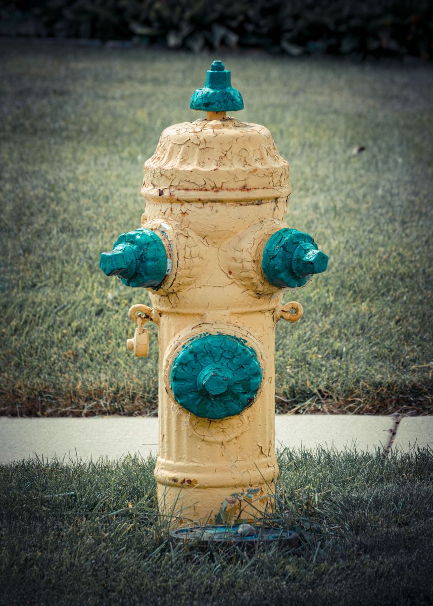 'Ludlow List 75 Hydrant' Poster, picture, metal print, paint by Enzwell ...