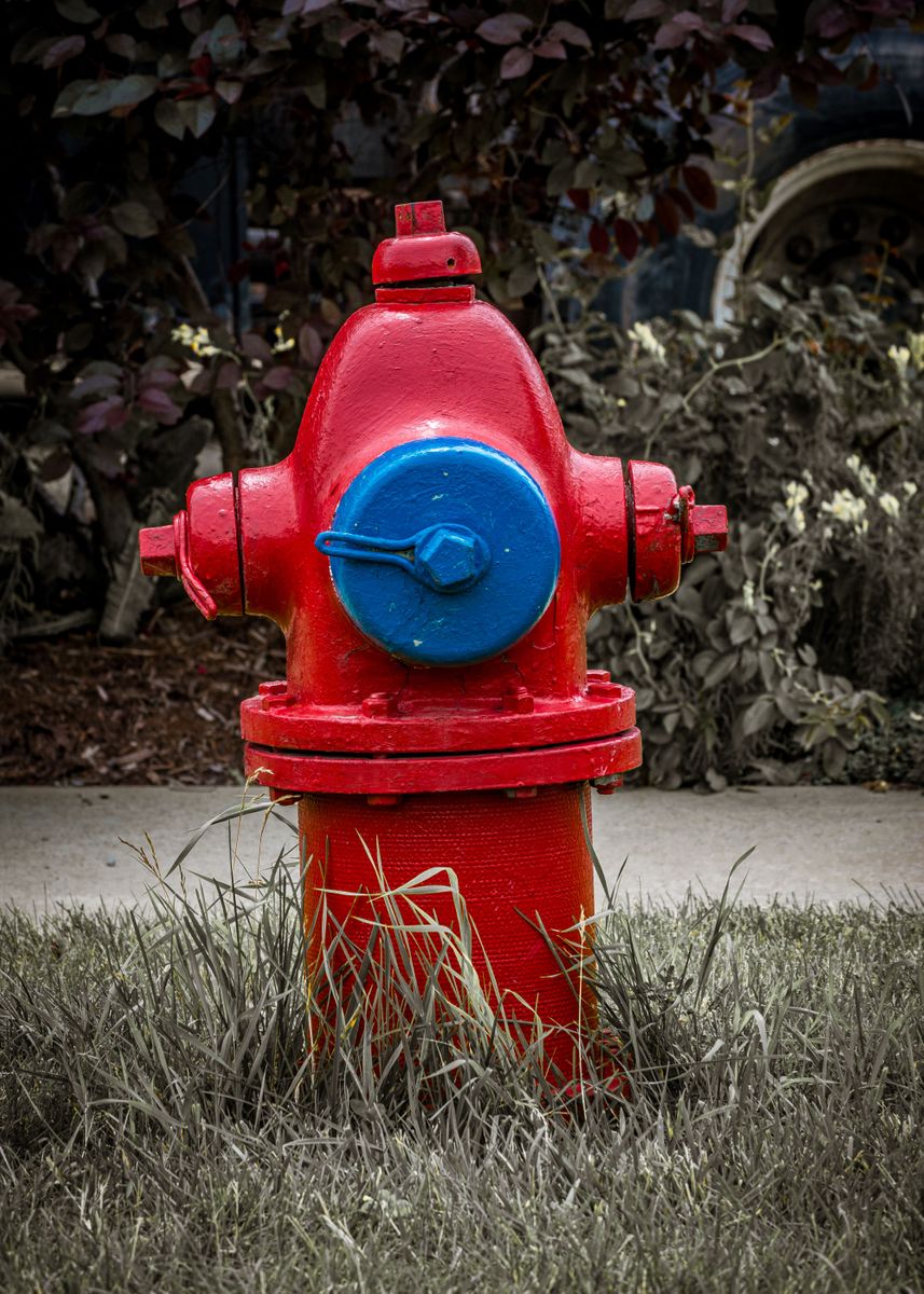 'TCIW Hydrant' Poster, picture, metal print, paint by Enzwell | Displate
