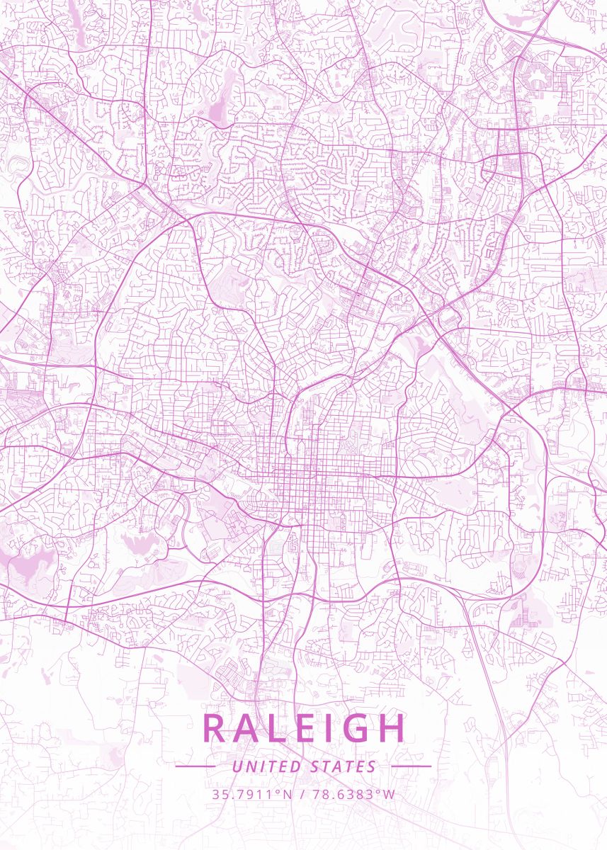 'Raleigh United States' Poster, picture, metal print, paint by Designer ...