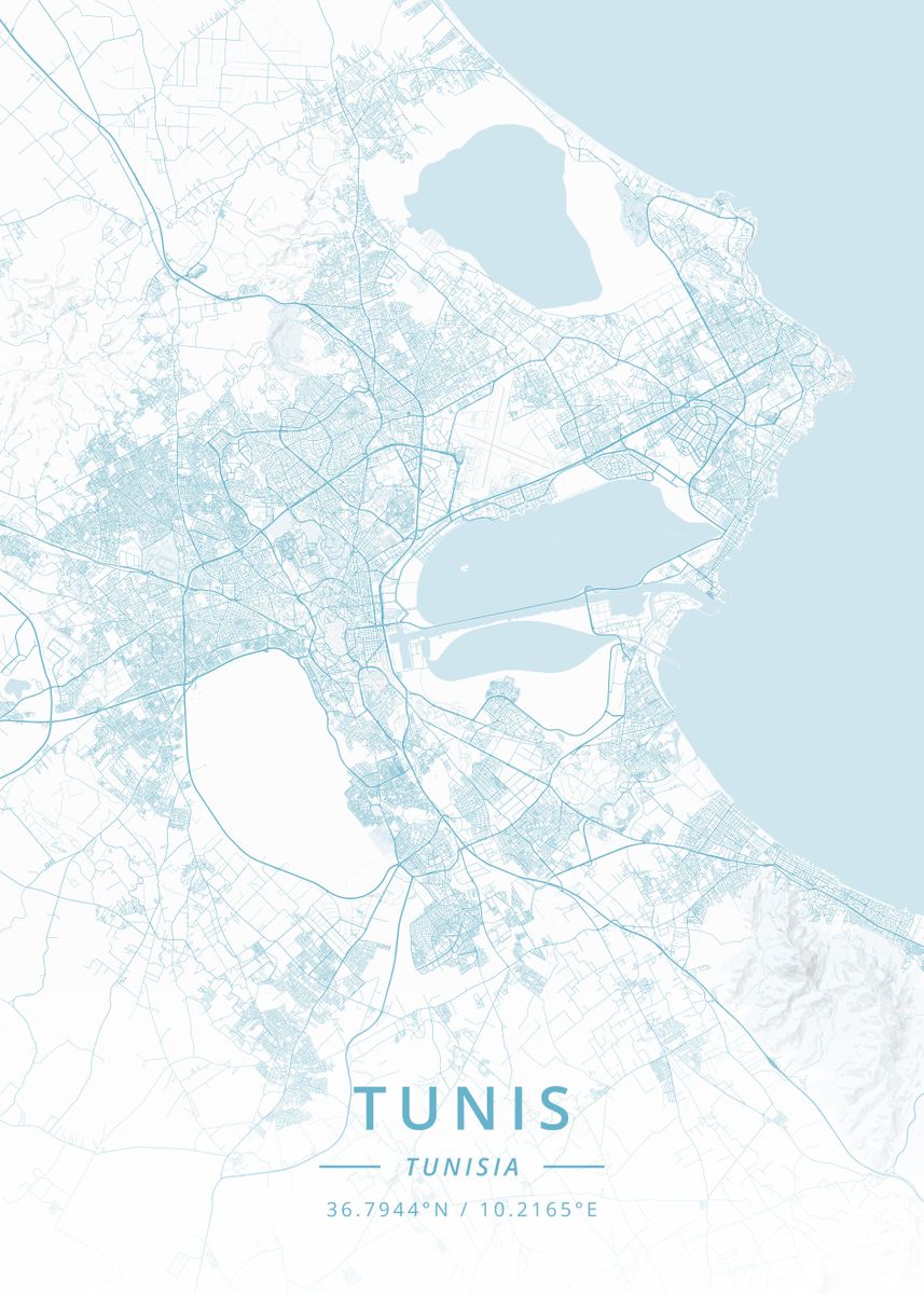 'Tunis Tunisia' Poster, picture, metal print, paint by Designer Map Art ...