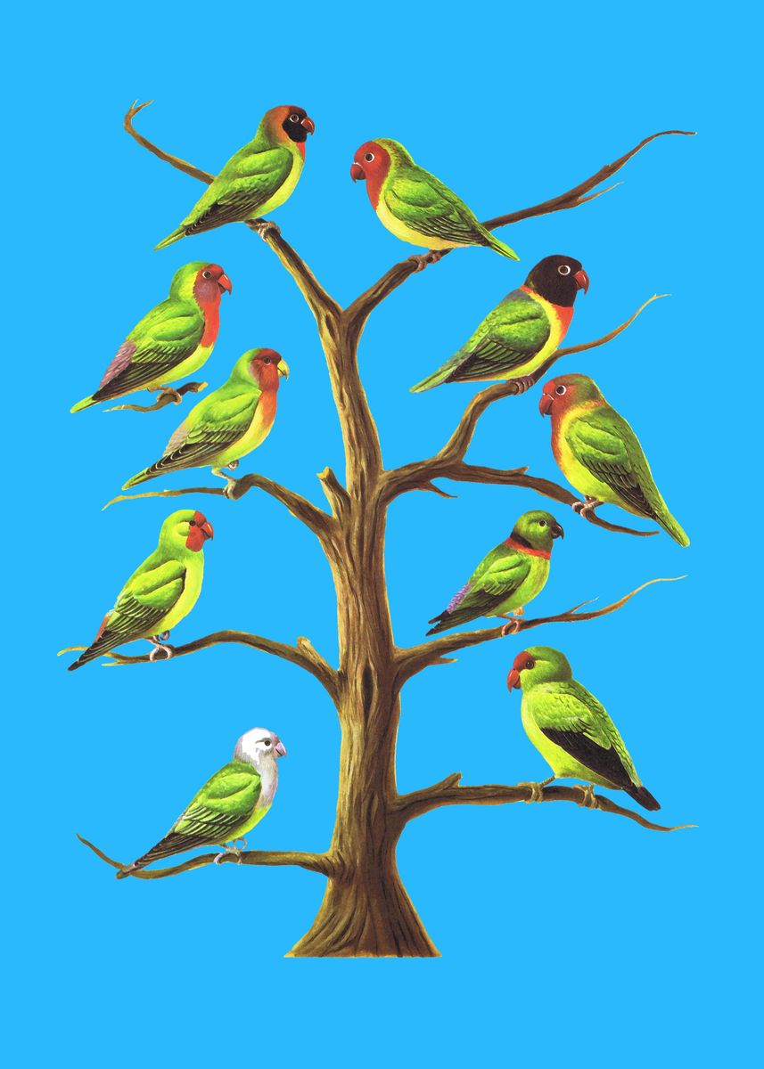'Birds on a Tree' Poster, picture, metal print, paint by arkitekta ...