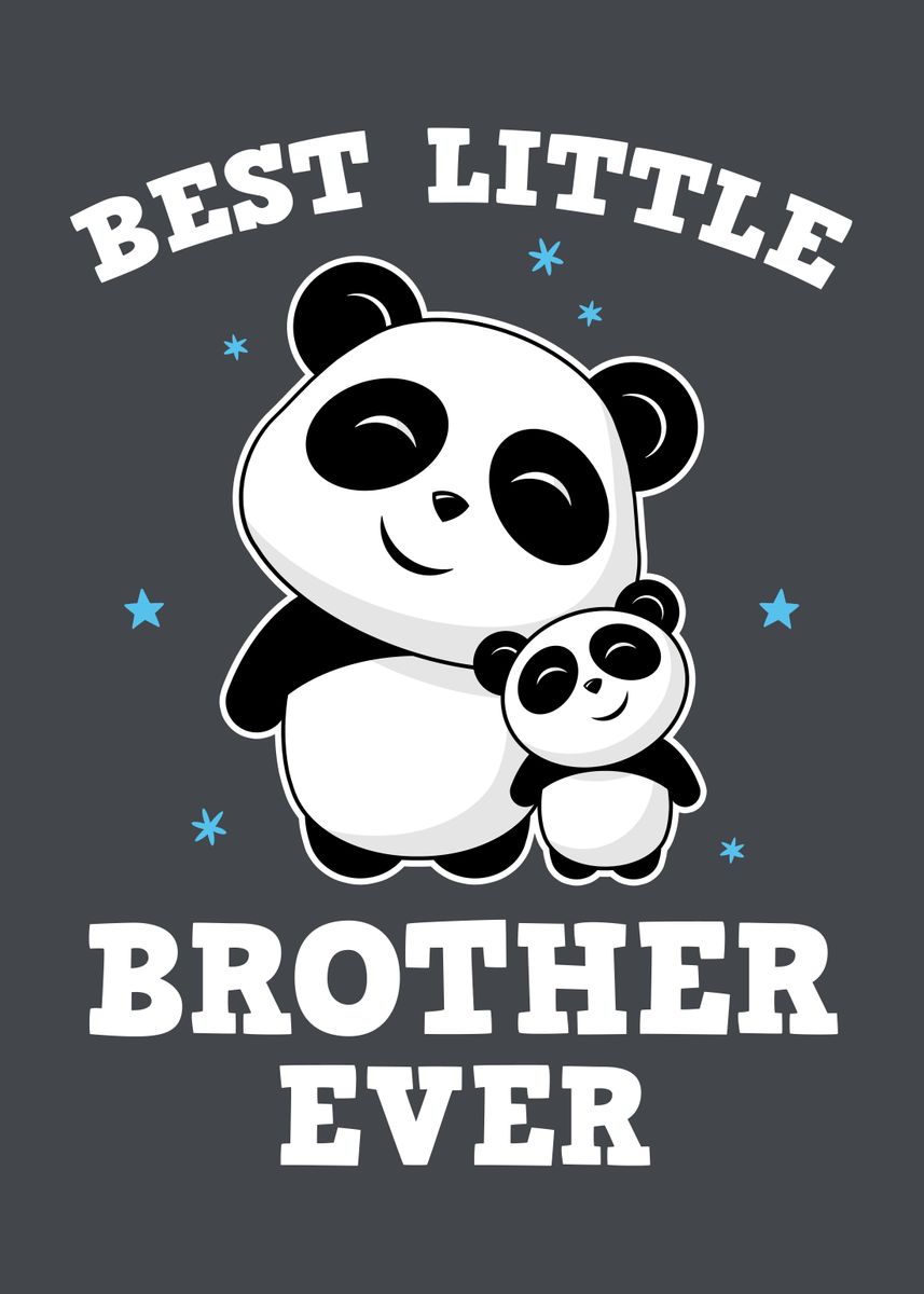 'Best Little Brother Ever' Poster by platenum | Displate