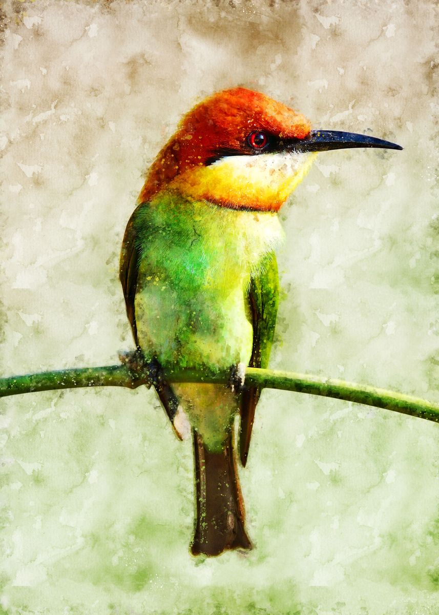 'Bee Eater' Poster, picture, metal print, paint by Nikolovi Art | Displate