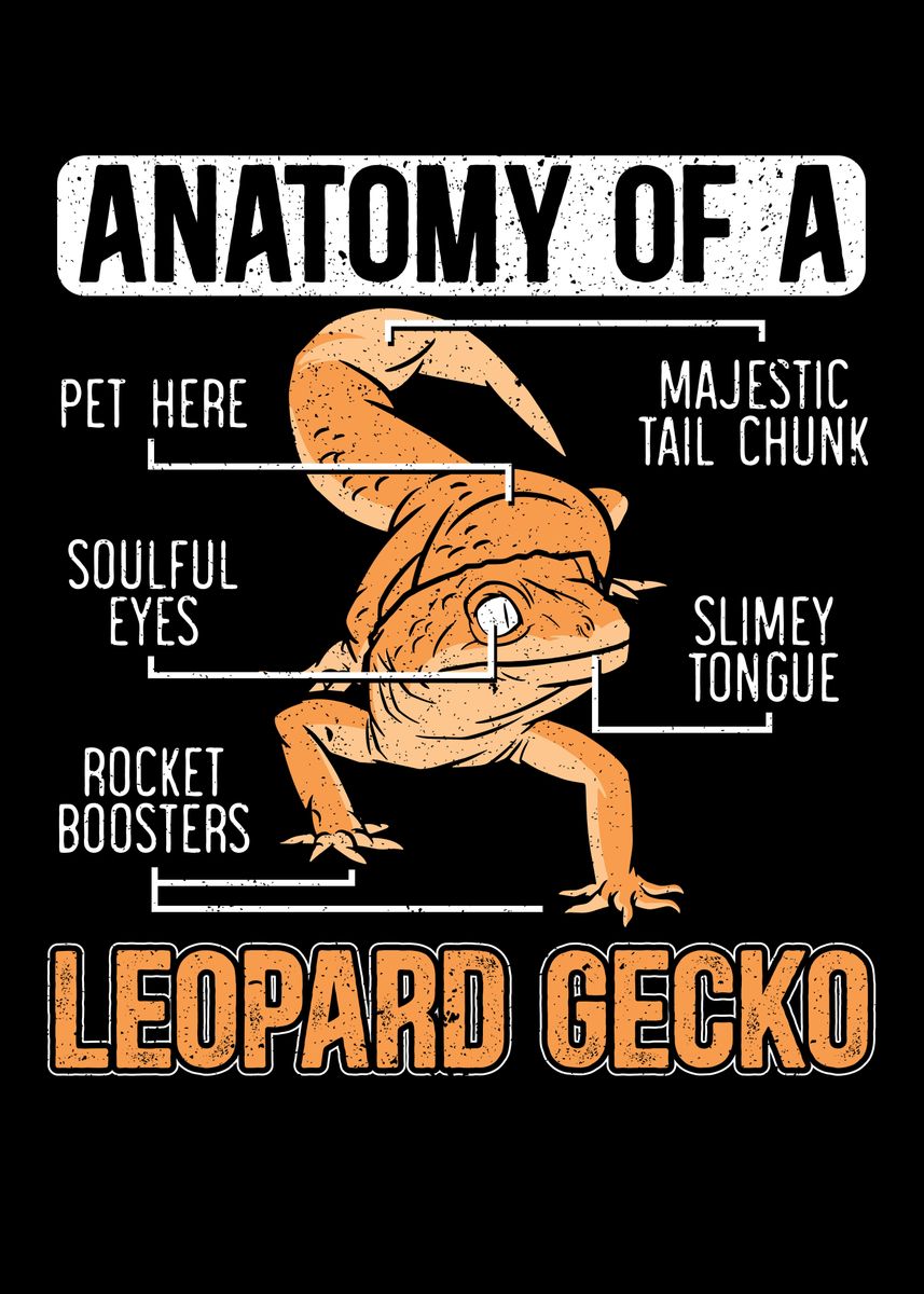 'Anatomy Of A Leopard Gecko' Poster, picture, metal print, paint by NAO ...