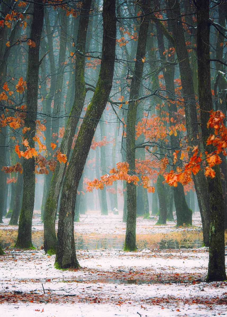 'Autumn in my soul' Poster, picture, metal print, paint by World Class ...