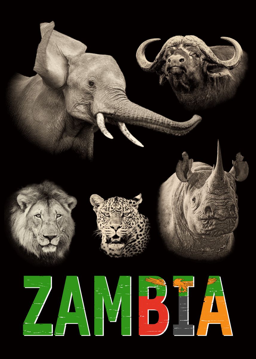 'Zambia Big Five Wildlife' Poster, picture, metal print, paint by ...