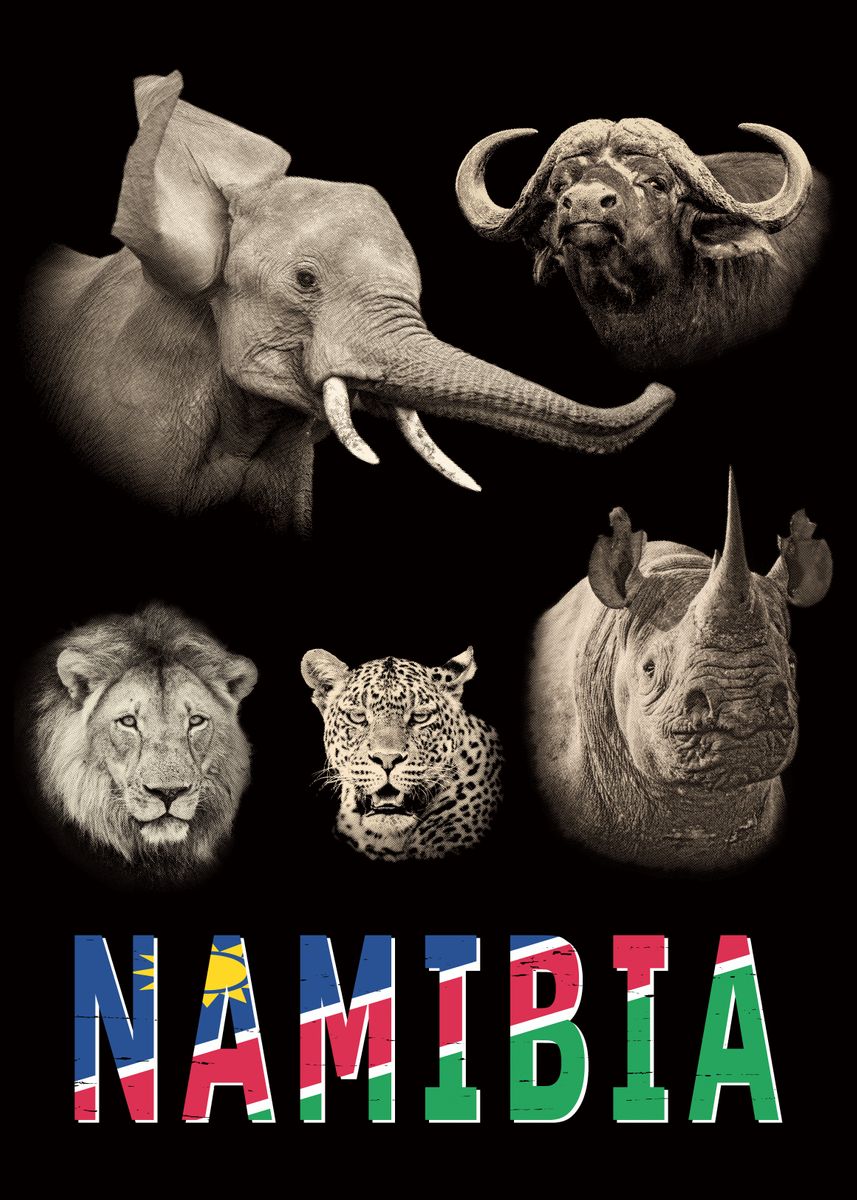 'Namibia Big 5 Wildlife' Poster, picture, metal print, paint by Scotch ...