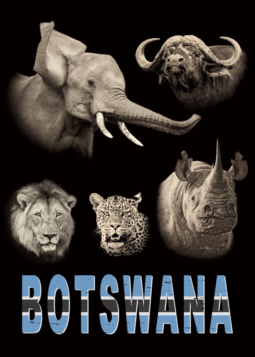 'Botswana Big 5 Wildlife' Poster, picture, metal print, paint by Scotch ...