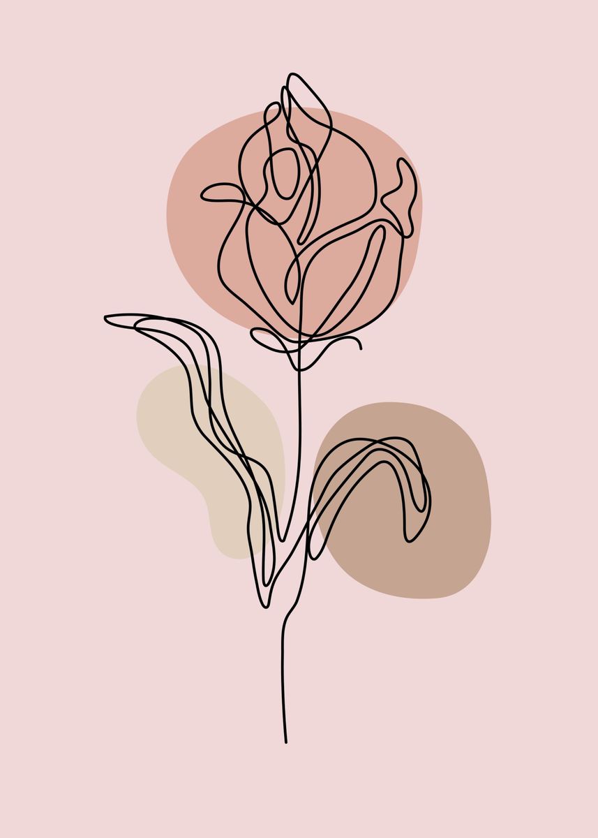 'Line Art Rose' Poster by Haus and Hues | Displate