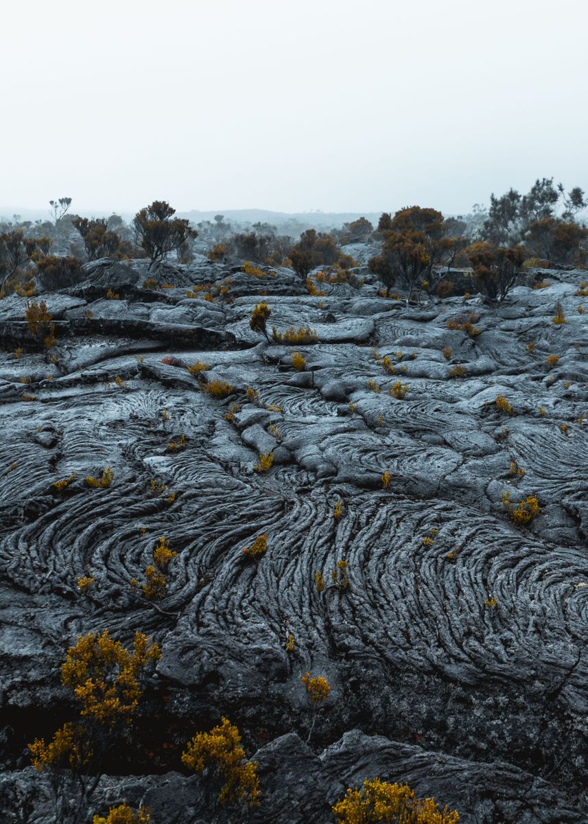 'Cold lava' Poster, picture, metal print, paint by Yann Droy | Displate