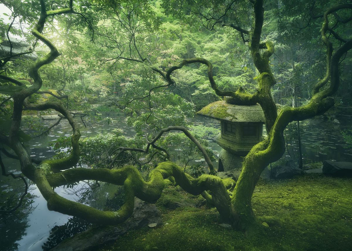 'Japanese Tree' Poster by World Class Photos | Displate