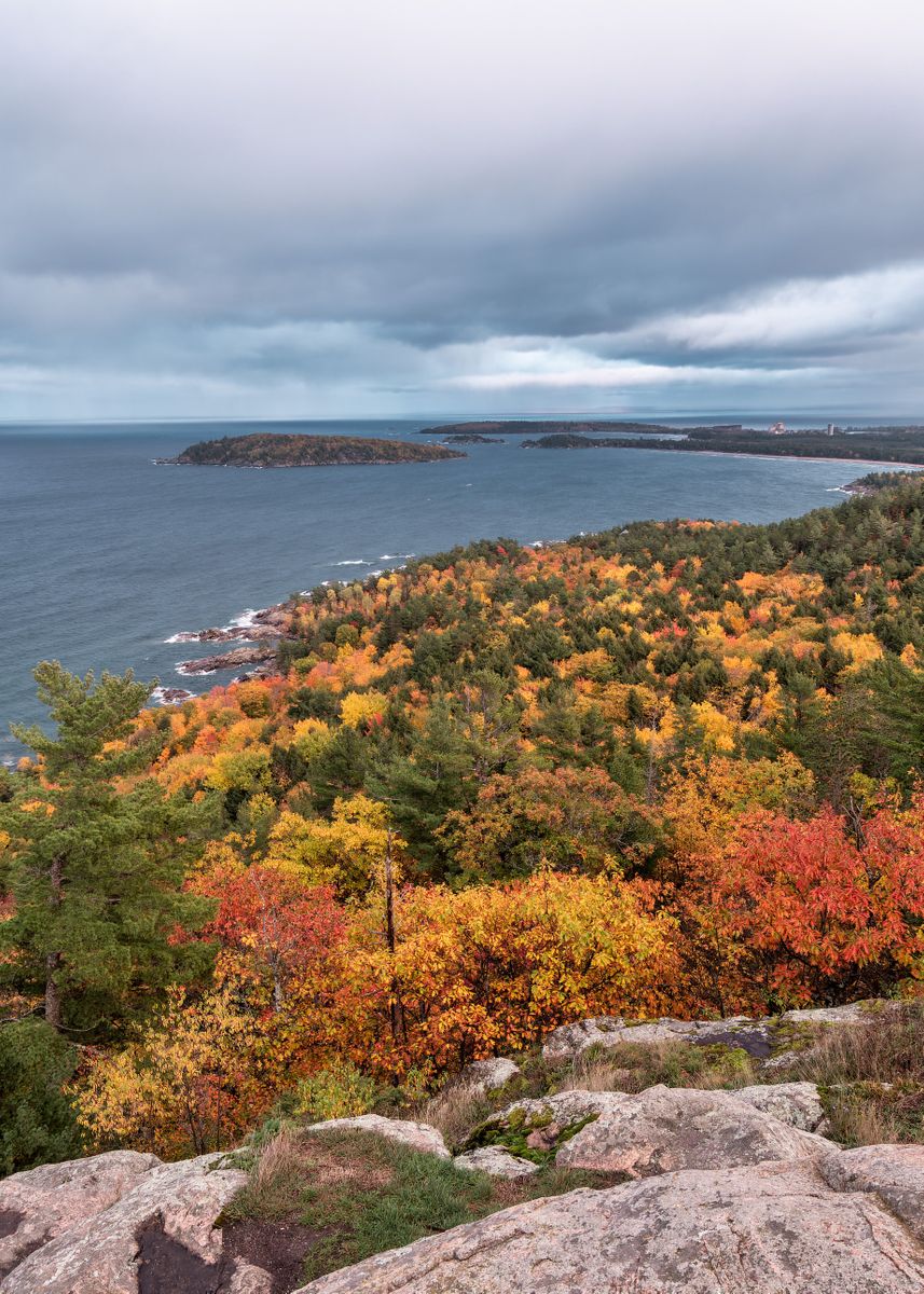'Fall Colors in Michigan' Poster, picture, metal print, paint by Done4 ...