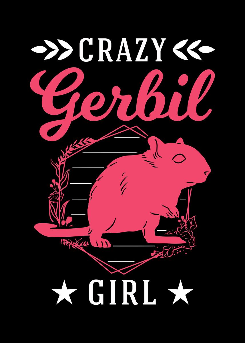 'Crazy Gerbil Girl Racing' Poster by FavoritePlates | Displate