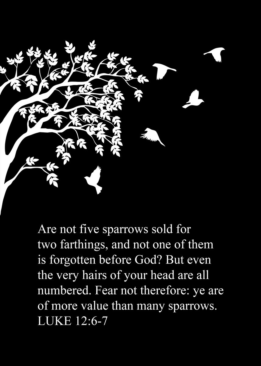 'Luke 12 6 7' Poster by ABConcepts | Displate