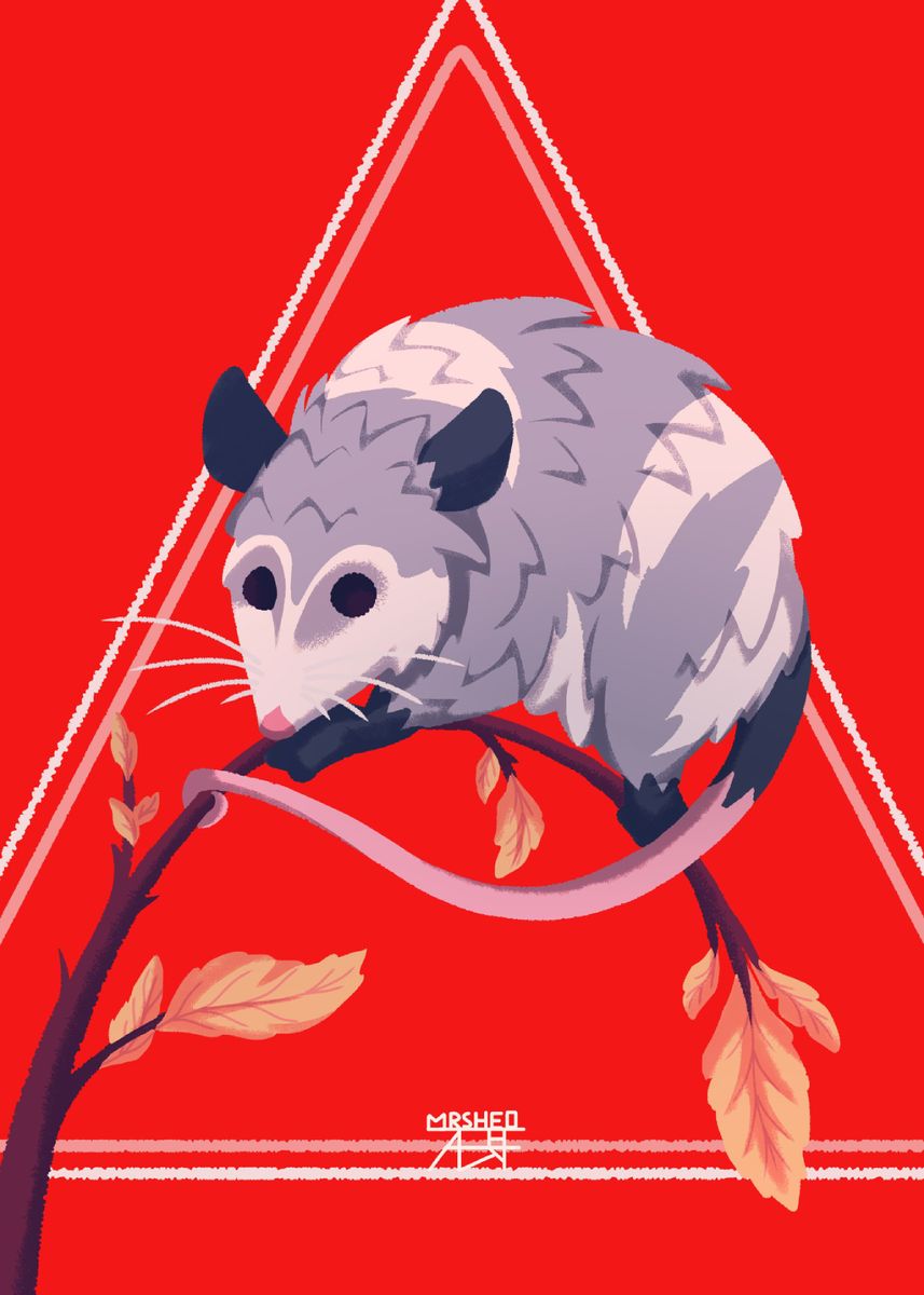 'Opossum' Poster, picture, metal print, paint by MrSheo | Displate