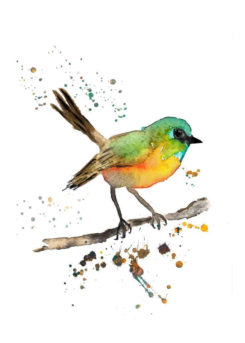 'Songbird on branch ' Poster, picture, metal print, paint by ...