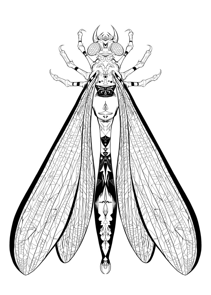 'Damselfly' Poster, picture, metal print, paint by Ellen Archer | Displate