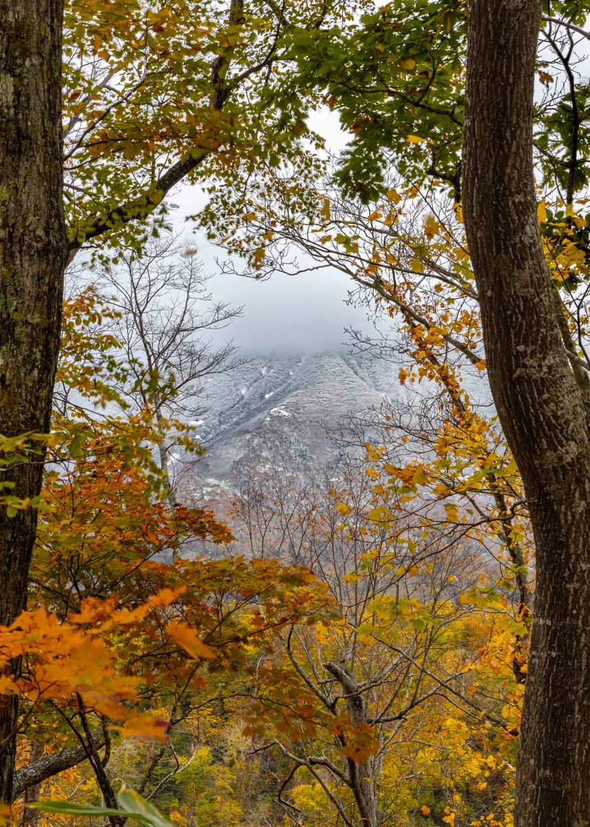 'Through the fire and flame' Poster, picture, metal print, paint by ...