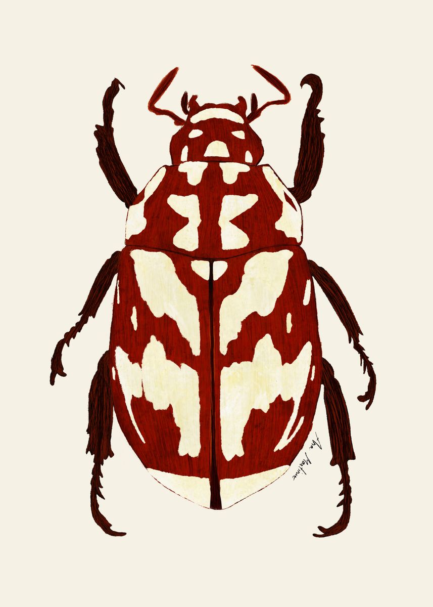 'Red beetle' Poster by Ana Martinez | Displate