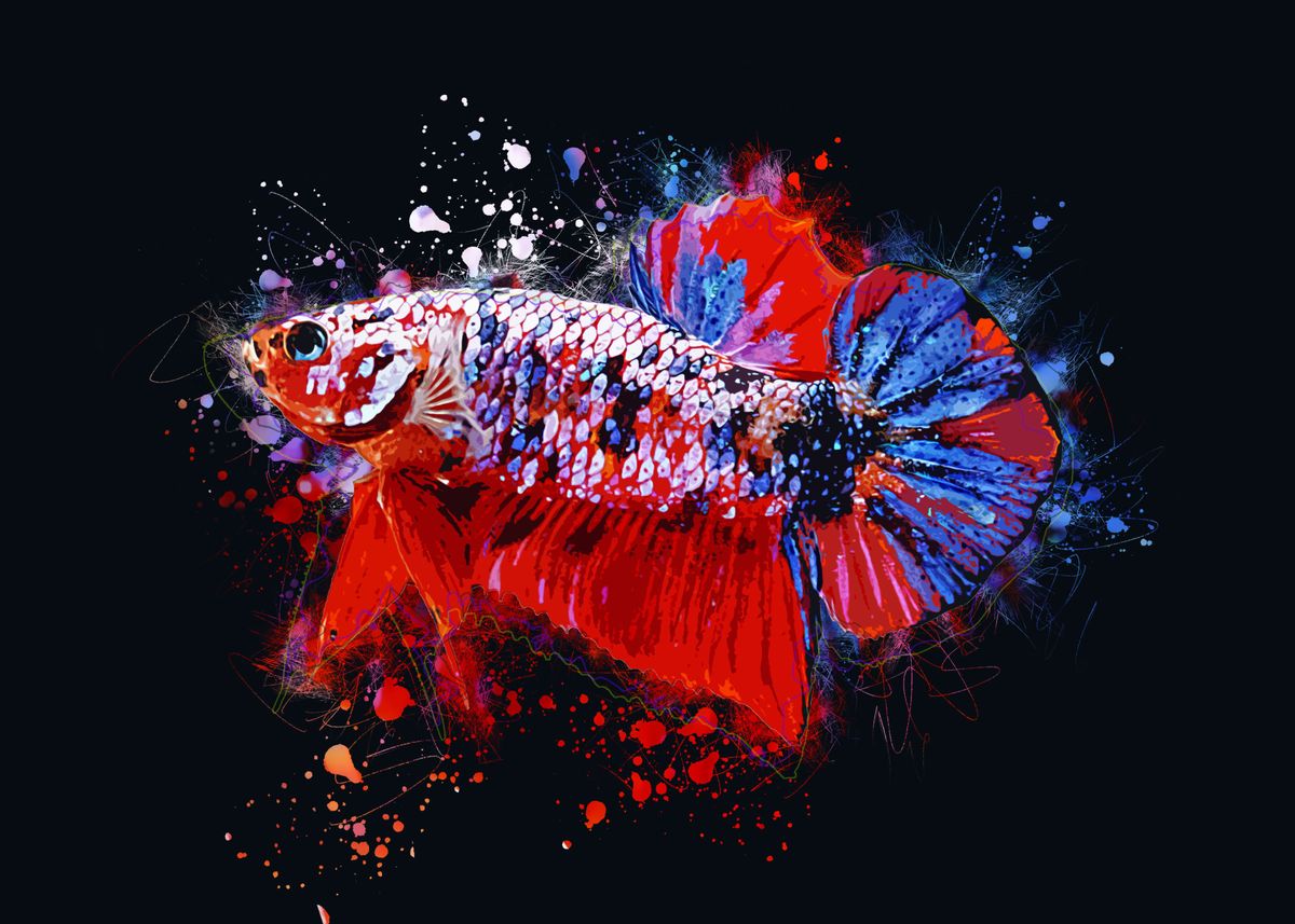 'Galaxy Koi Fighting Fish' Poster by Upscale Betta | Displate