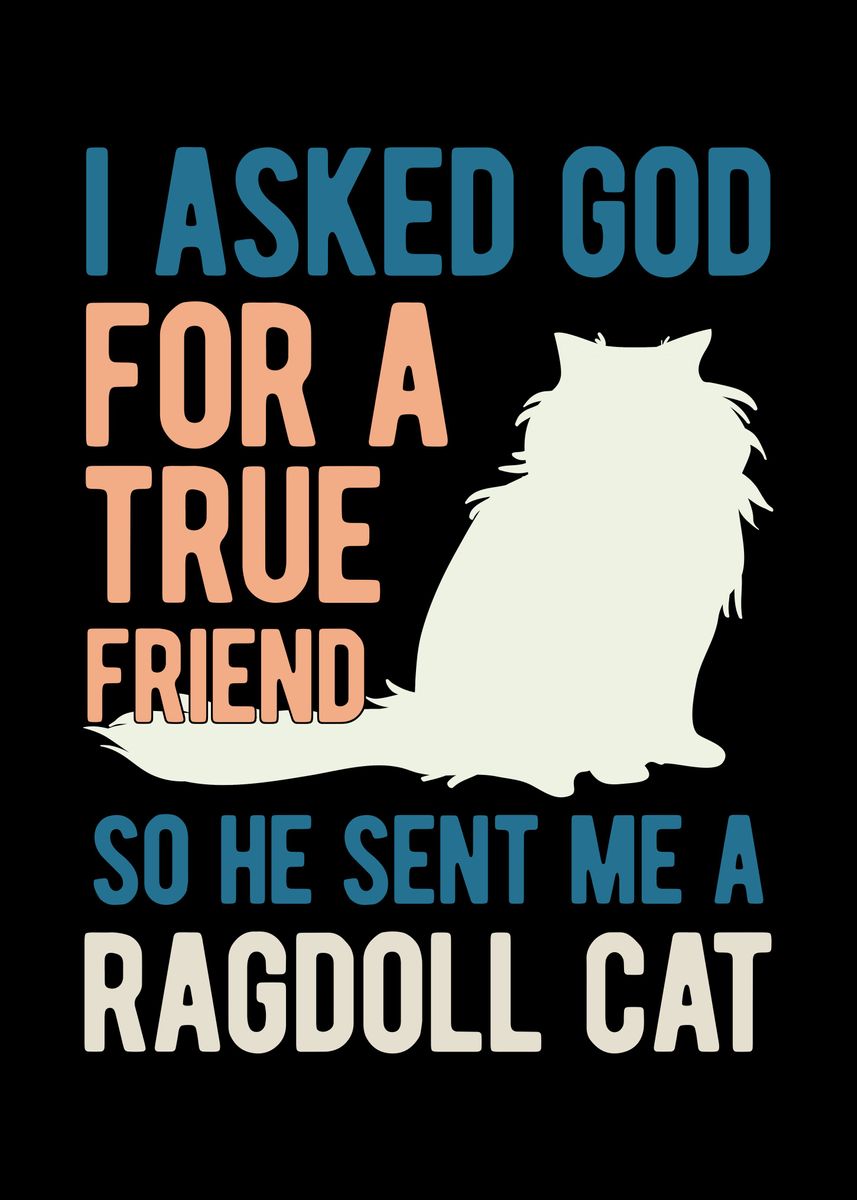 'Funny Ragdoll Cat' Poster by Visualz | Displate