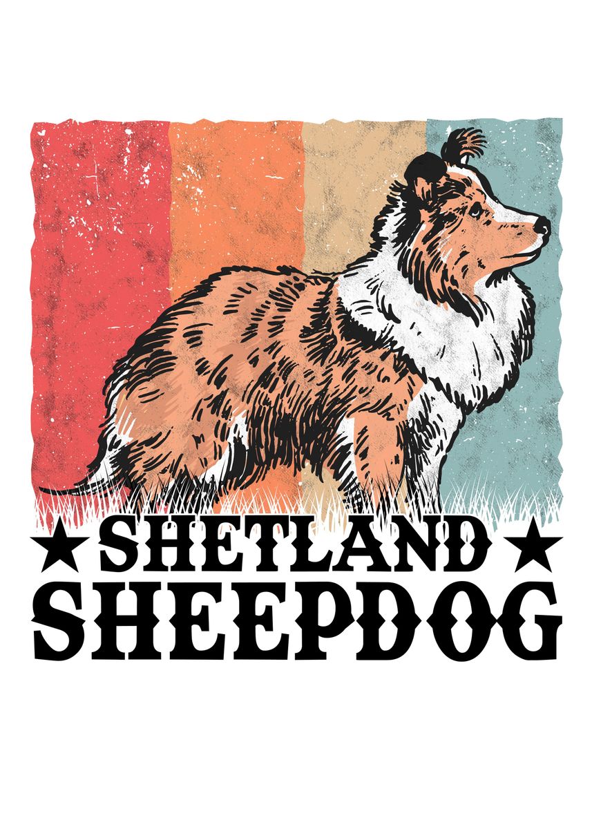 'Sheltie Retro Sheepdog' Poster, picture, metal print, paint by ...