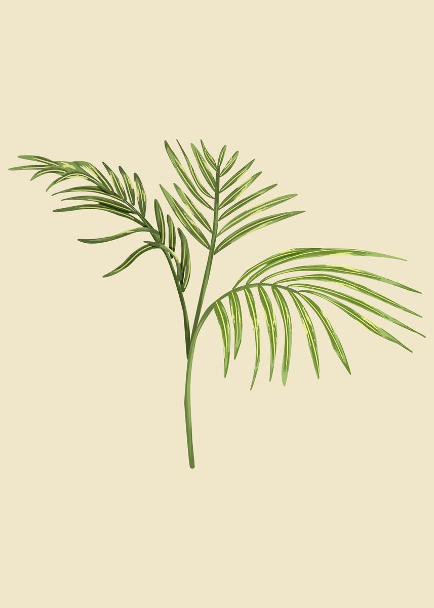 'Palm Botanical Art' Poster by salfi art | Displate