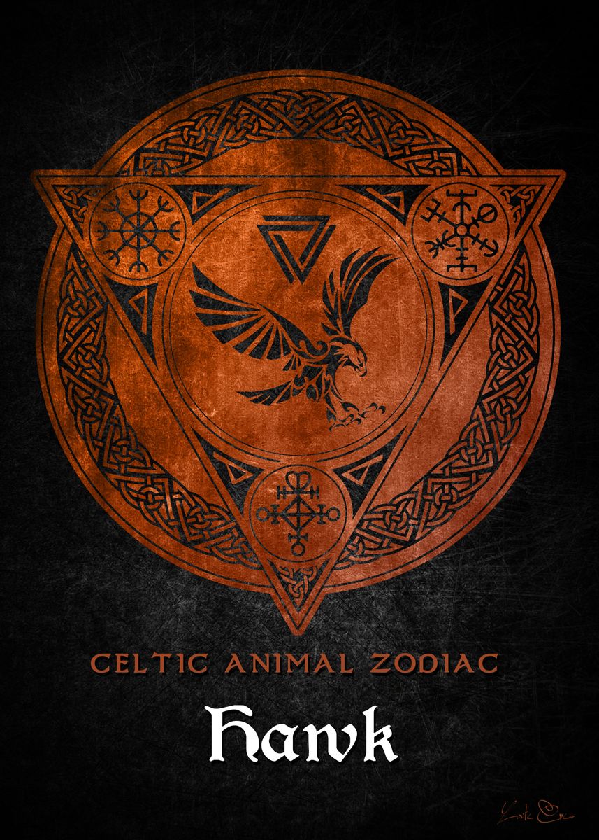 'Hawk Viking zodiac sign' Poster, picture, metal print, paint by ...