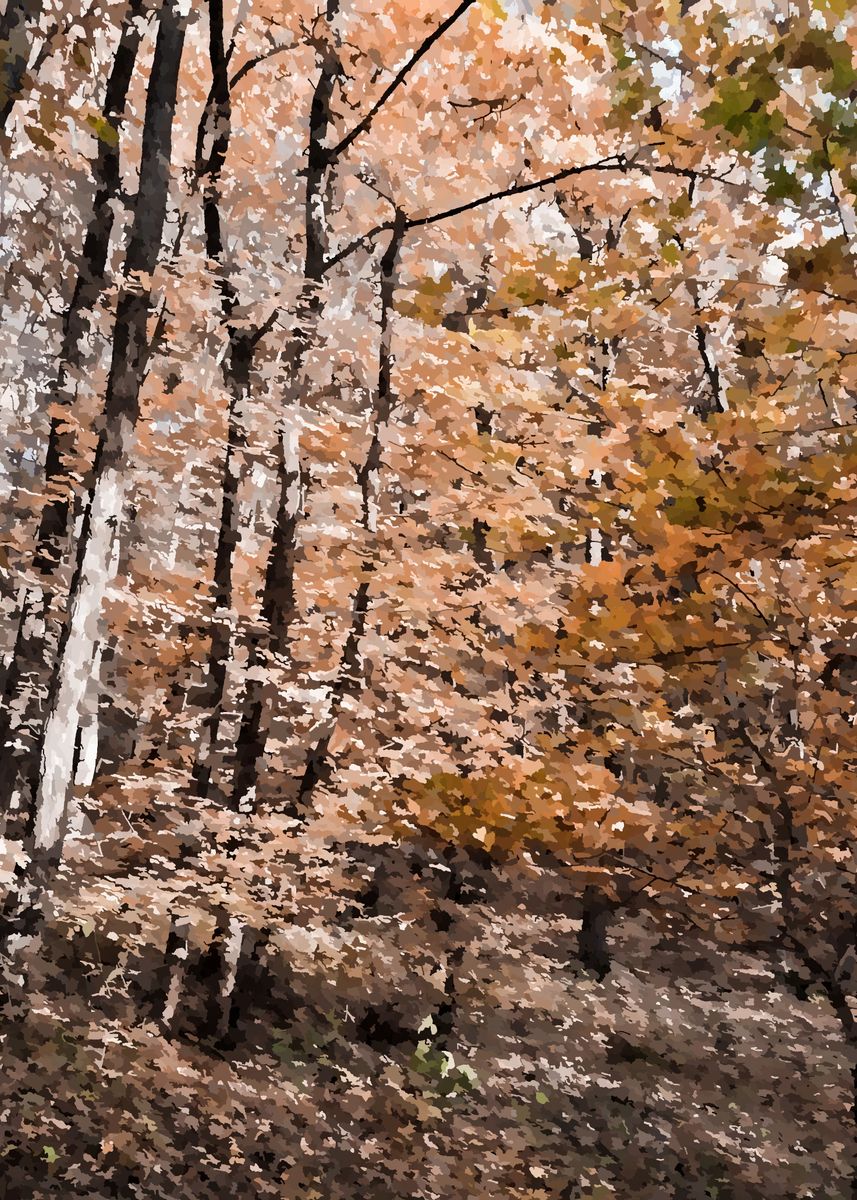 'Amber fall forest' Poster, picture, metal print, paint by Edy Art ...