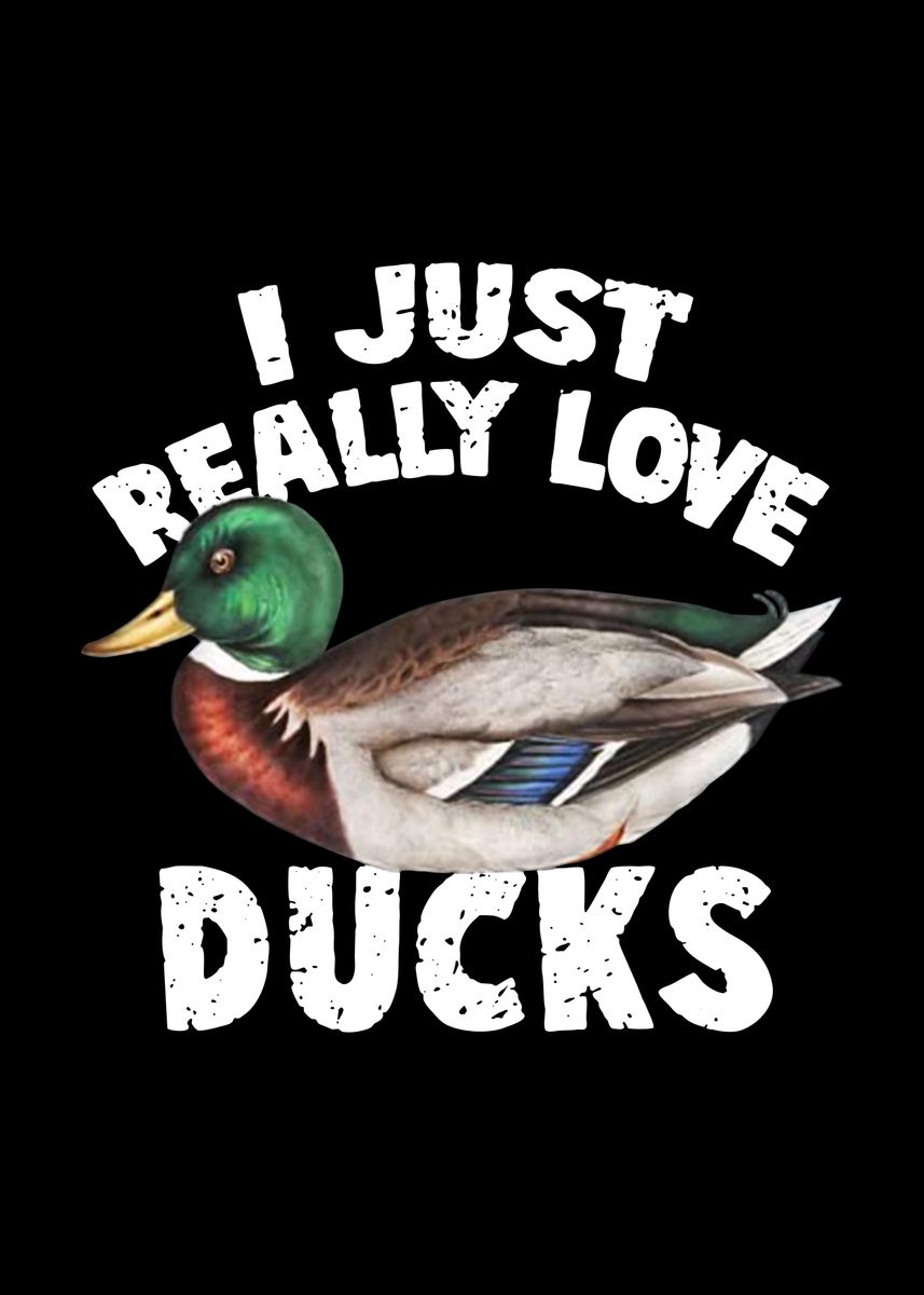 'ducks' Poster by JURUTENX STD | Displate
