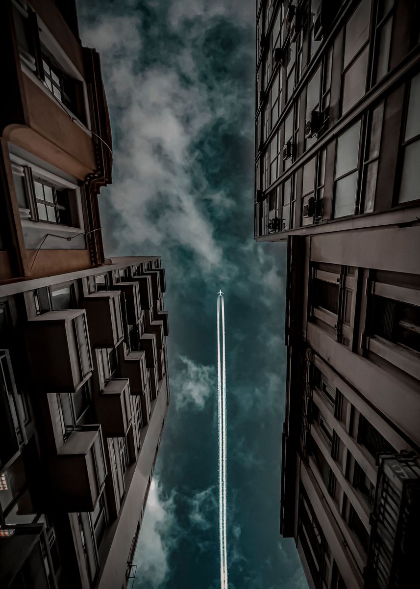 'Fly Away' Poster, picture, metal print, paint by dsakispixelover ...