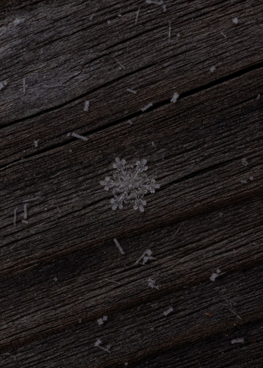 'Snow flake' Poster, picture, metal print, paint by LeewardDesign ...