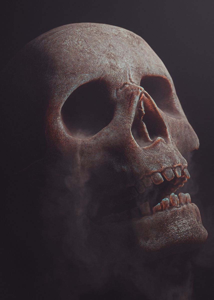 'Forgotten Skull' Poster by Tom Pleysier | Displate