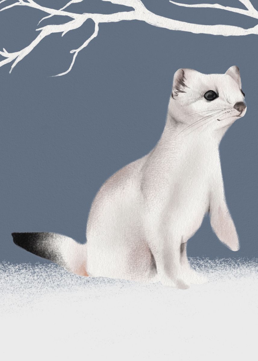 'Weasel' Poster, picture, metal print, paint by Tantowi Gilang | Displate